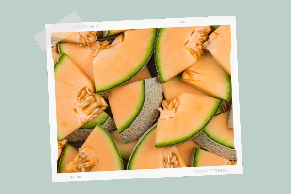 El melón « Recetas para bebes